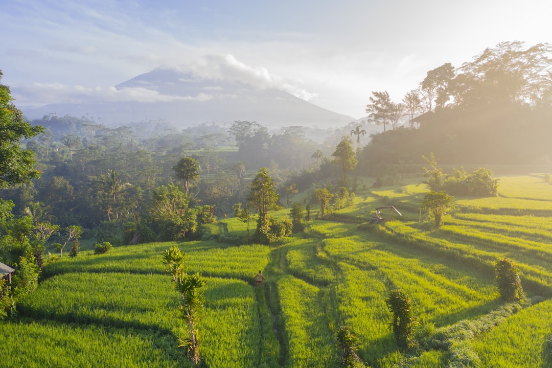 Bali, Indonesia – CourageAll